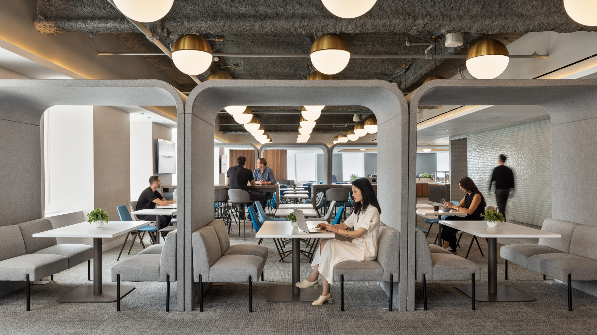 Sullivan & Cromwell - Zilenzio